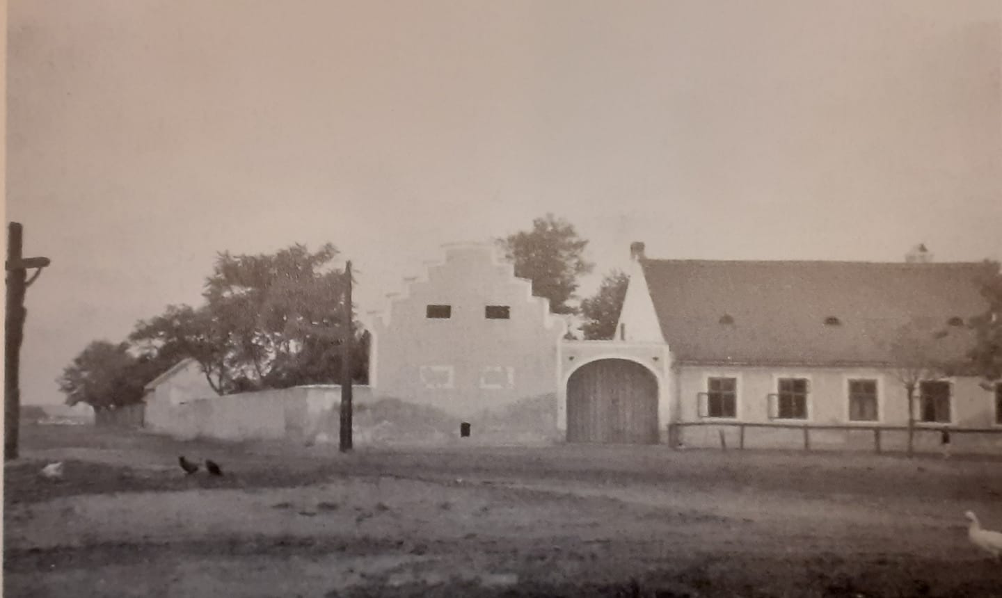 Best of Burgenland - Old Pama