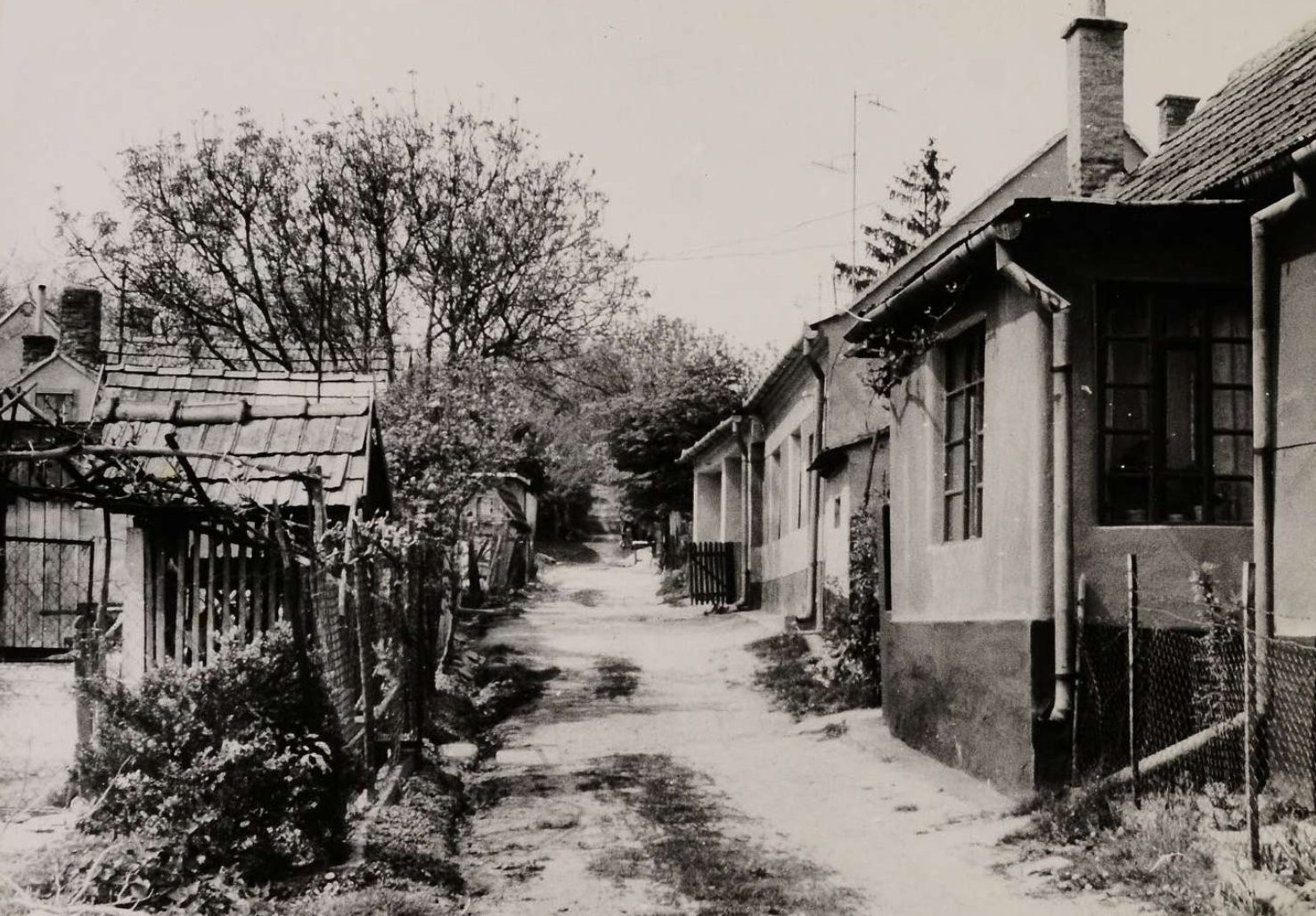 Best of Ungarn - Old Gérce