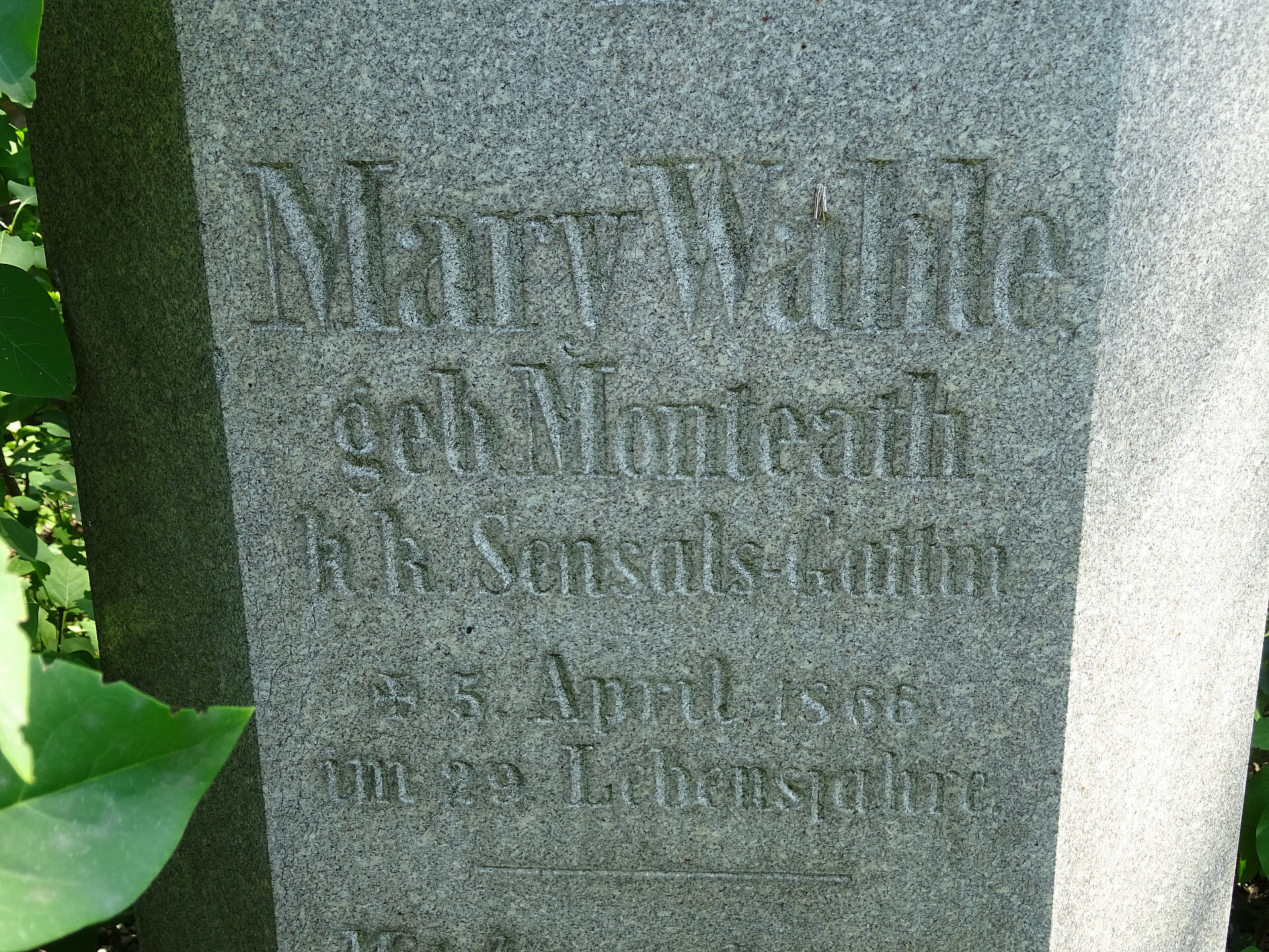 Wien - Maria Wahle
