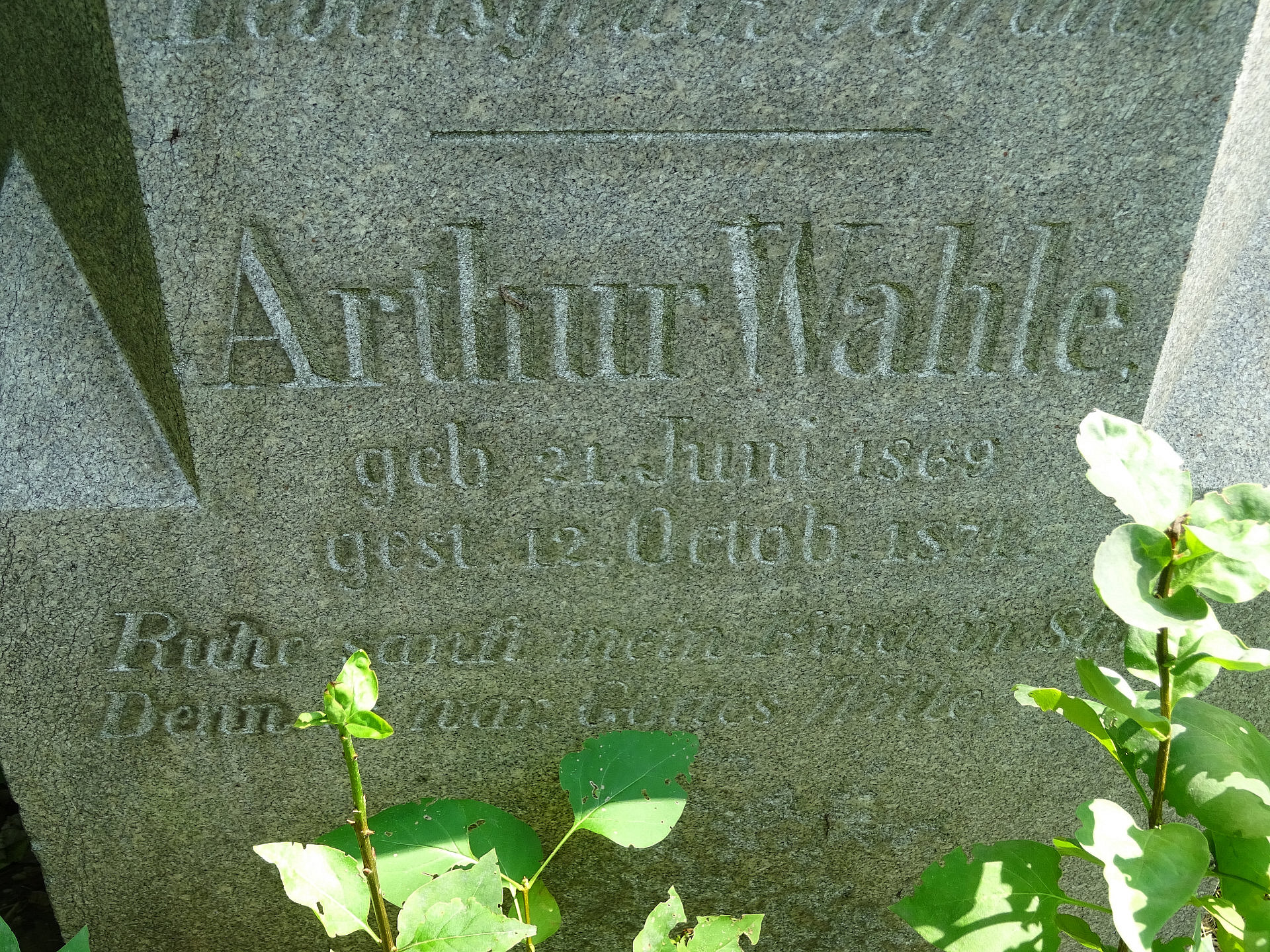 Wien - Maria Wahle