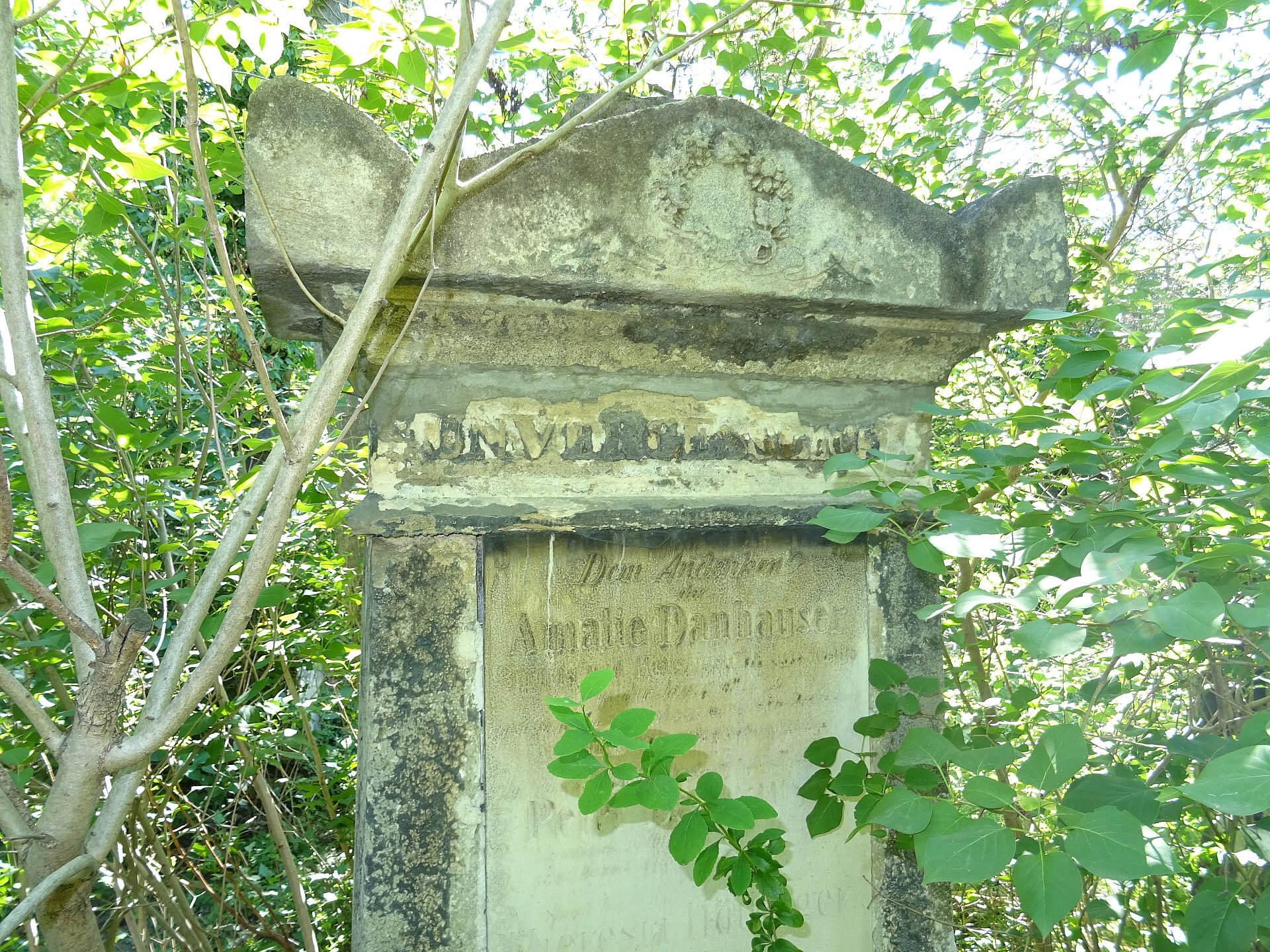 Wien - Peter Danhauser