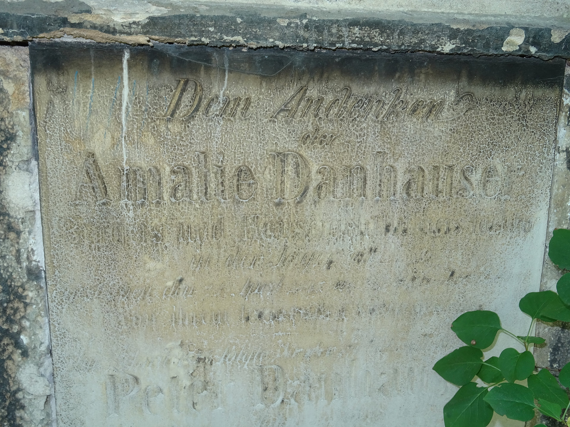 Wien - Peter Danhauser