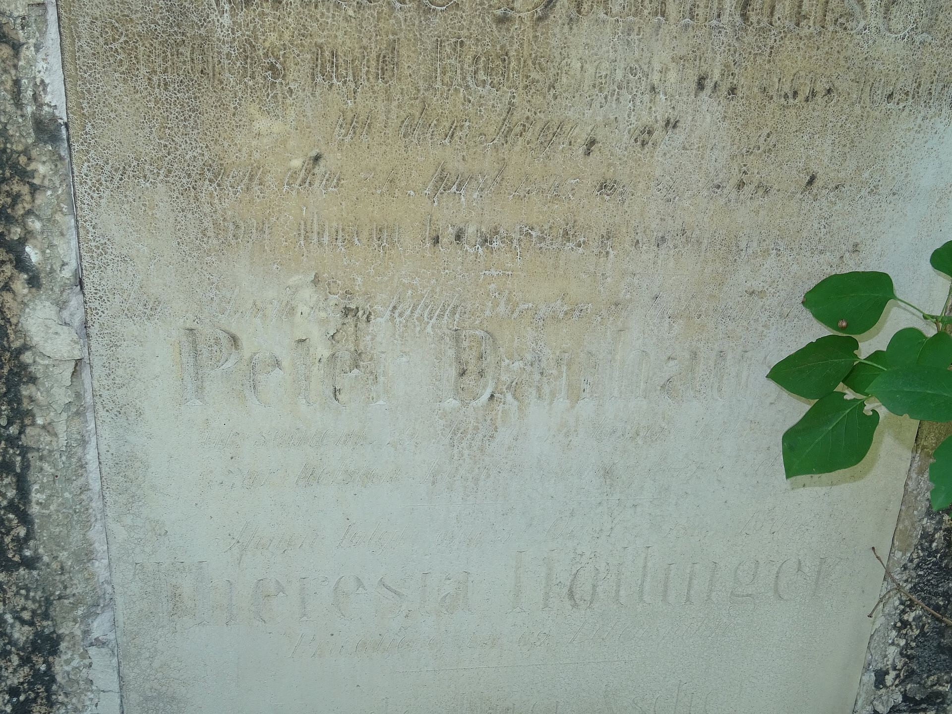 Wien - Peter Danhauser