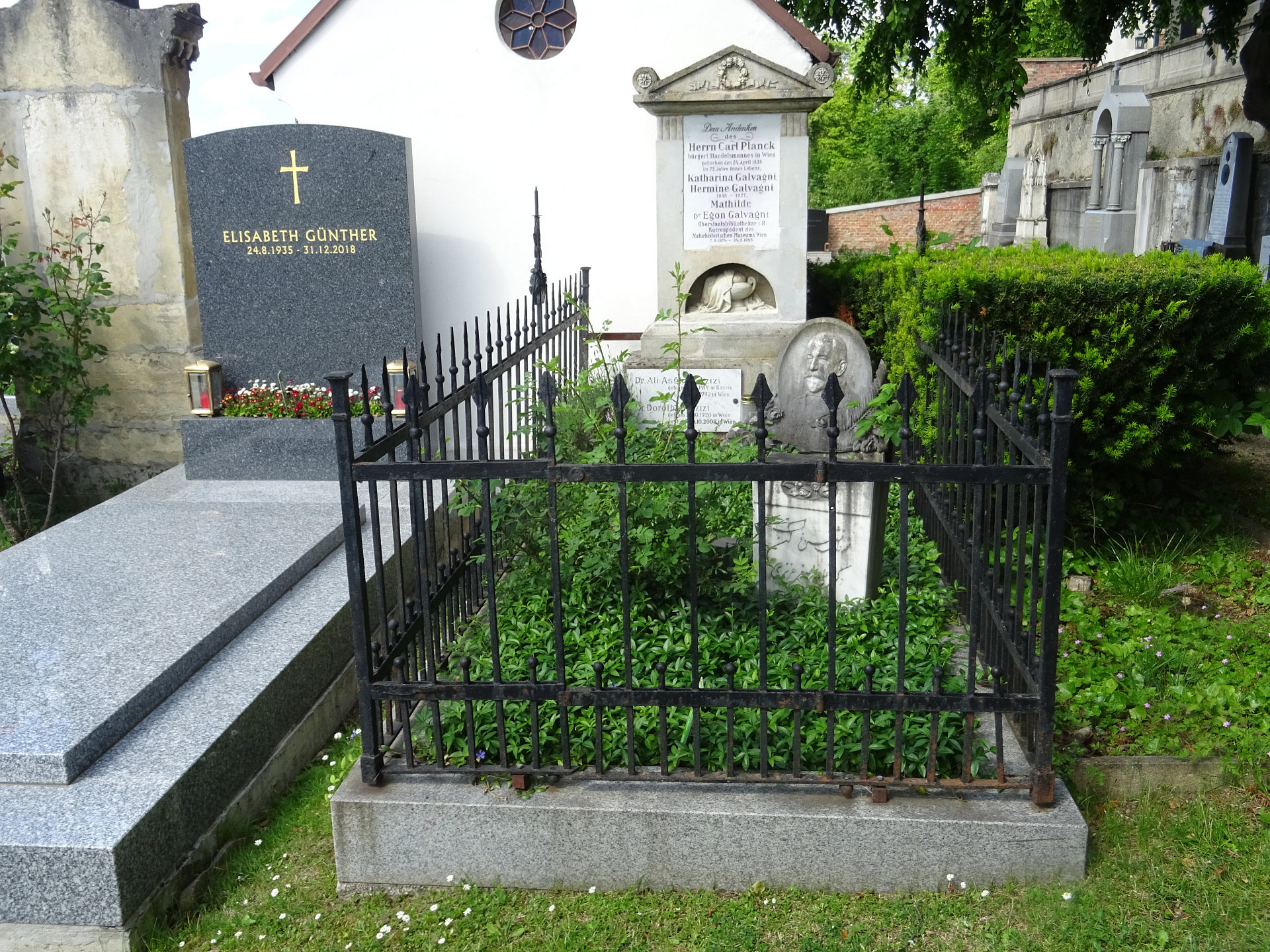 Wien - Carl Planck
