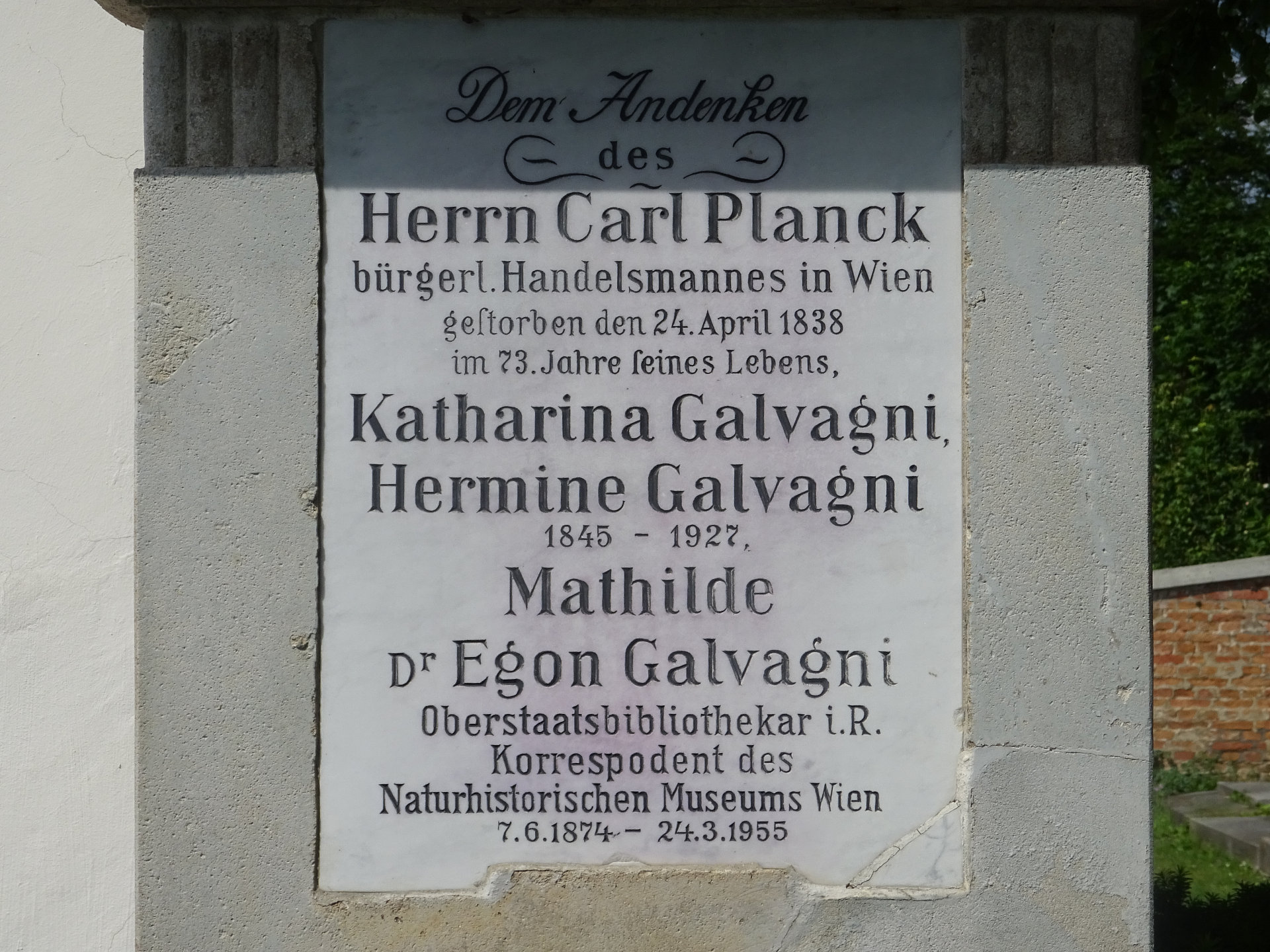 Wien - Carl Planck