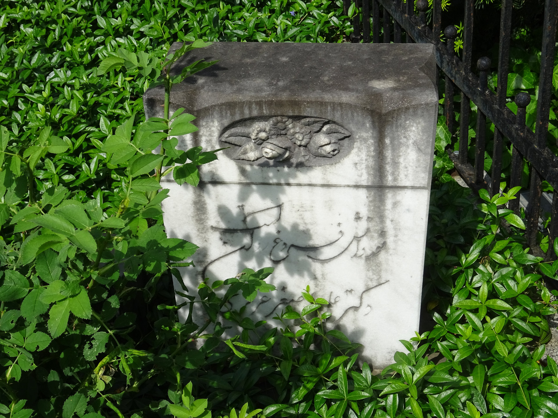 Wien - Carl Planck