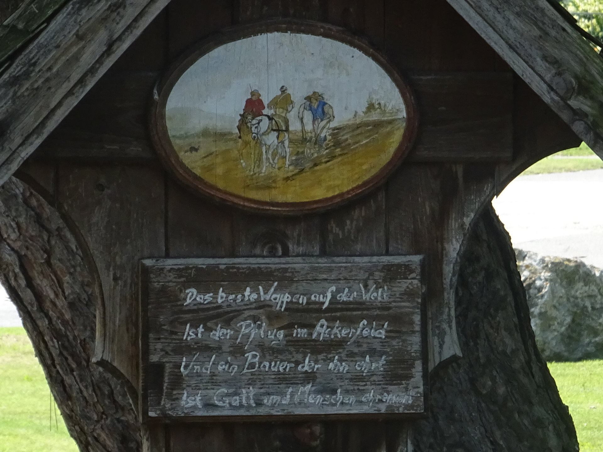 Niederösterreich - Schönau an der Donau